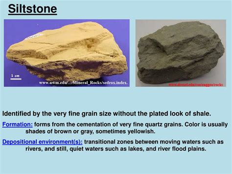 Ppt Sedimentary Rocks Powerpoint Presentation Free Download Id466616
