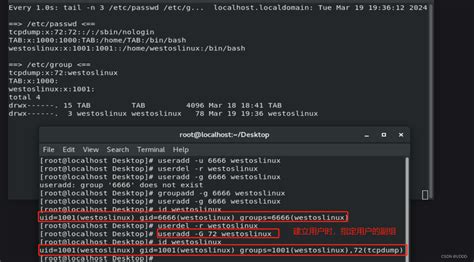 linux系统中的用户管理 查看用户 csdn博客
