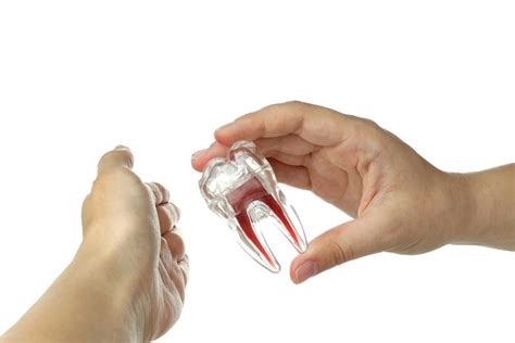 Mengenal Ekstraksi Gigi Bungsu Impaksi Dan Prosedurnya