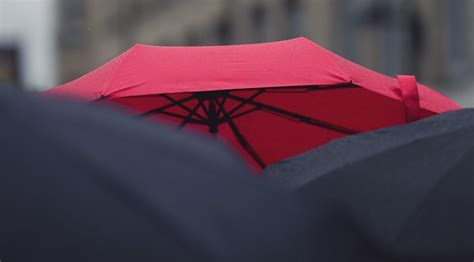 Gender And Sexual Diversity SHINE SA