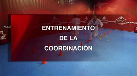 World Taekwondo Training Program Dvdno2 Entrenamiento Programa De Entrenamiento Taekwondo