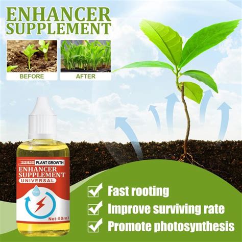 Plant Growth Nutrient Flower And Plant Rooting Concentration Growth