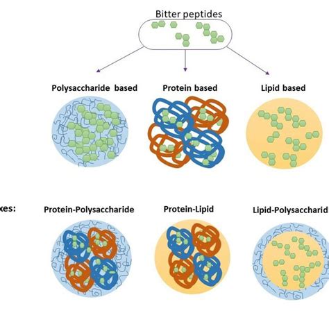 schematic representation of various polymer based encapsulation systems