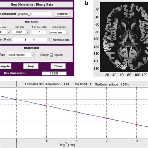pdf fractal analysis in matlab a tutorial for neuroscientists