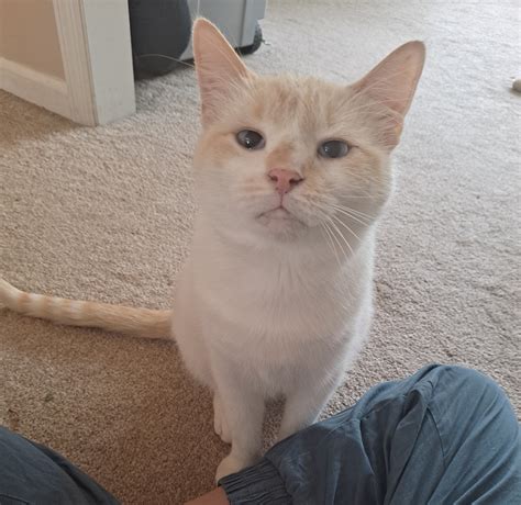 Official Willie Woo Blog On Tumblr