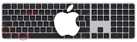 How To Take Screenshots On Pc And Mac Filecamp