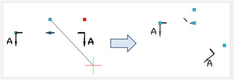 Polar Stretch Action Characteristics