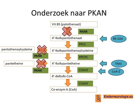 Pkan Kinderneurologie