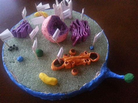 How To Make A Clay Cell Model Hip Homeschool Moms