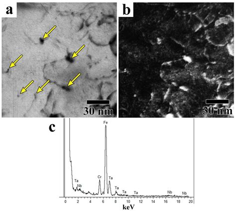 Crystals Free Full Text Effect Of Hot Rolling On The Microstructure