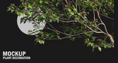 Premium Psd Various Types Of Tree Branch Plants And Small Trees Isolated