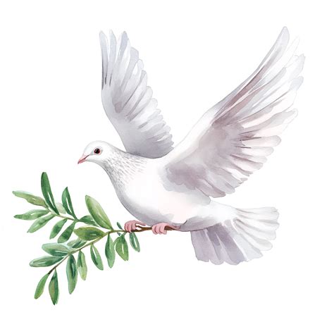 White Dove Carrying Green Olive Branch Symbolizing Peace And Hope