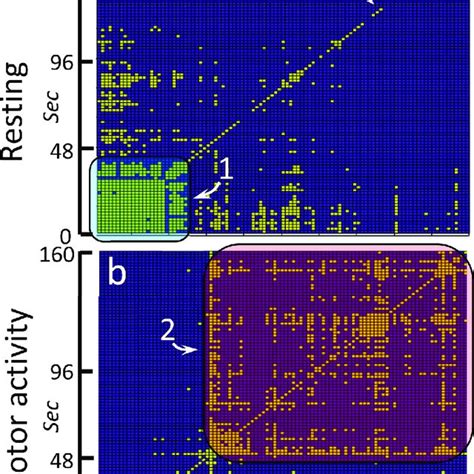 binarized recurrence plot of the m1 activity in the control group the