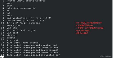 linux下的文件管理知识大全，图文详解 linux系统下的文件管理学习 csdn博客