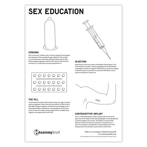 Sex Education Poster Digital Download Anatomystuff
