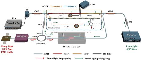Schematic Diagram Of Experimental Setup For The Evanescent Field Pt Download Scientific Diagram