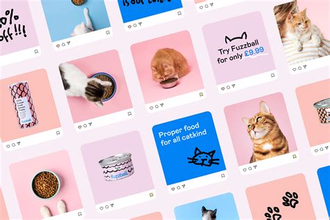 Startup Of The Week Fuzzball Techround