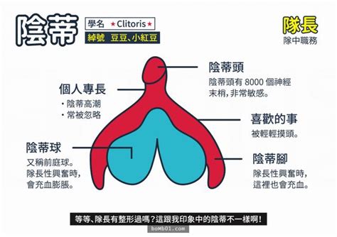 你了解女孩的阴部吗，图解每个女孩私密处，男士勿进 每日头条
