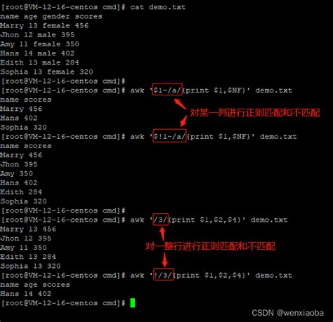 Linux命令之awkawk以空格为分隔符 Csdn博客