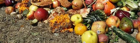 Large Scale Composting Nc State Extension