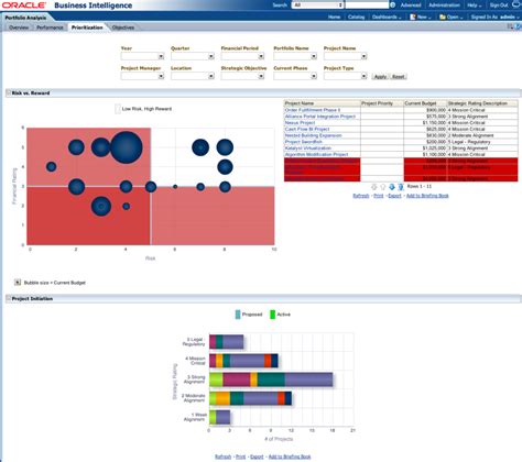 Primavera P6 Analytics Screen Grabs