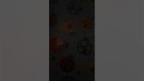 Llllllllllllllllllll Youtube