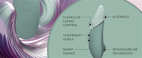 Womanizer Next 3d Pleasure Air Clitoral Sucker Sex Toy