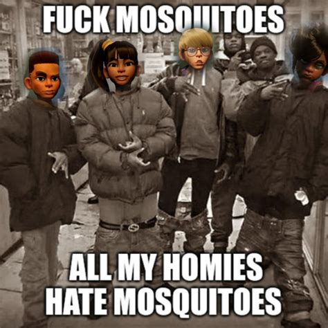 Fuck Mosquitoes All My Homies Hate Mosquitoes Rgroundedgame