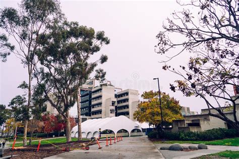 Beautiful Campus Landscape Of University Of California San Diego Ucs Editorial Stock Image