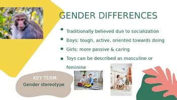 Hassett Et Al AICE Psychology PPT By Practically Fun Teacher TPT