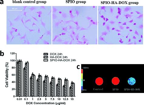 Surface Functionalization Of Superparamagnetic Nanoparticles By An Acid