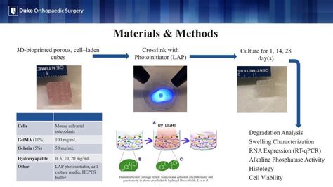 3d Bioprinted Gelma Gelatin Hydroxyapatite Osteoblast Laden Composite
