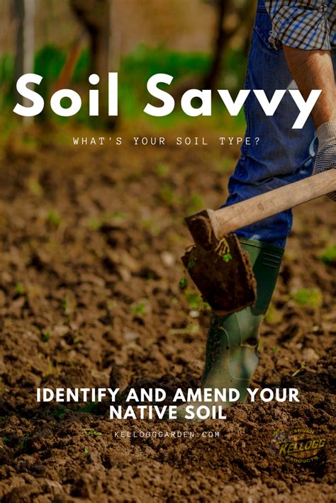 Determining Your Soil Type For Your Best Garden Soil Artofit