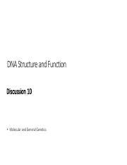 261 Discussion 10 DNA Structure And Function Pdf DNA Structure And Function Discussion 10