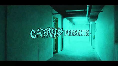 Catnip Princess Diaries Music Video Youtube