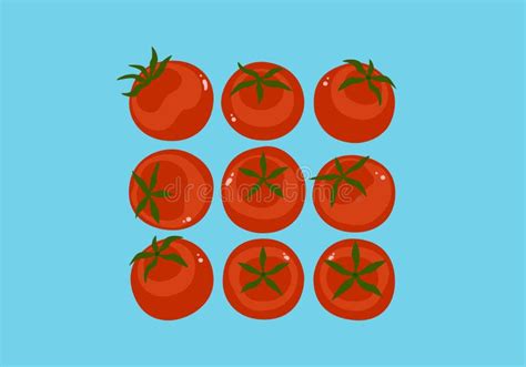 Set Of Various Fresh Cherry Tomatoes Vector Illustration Collection