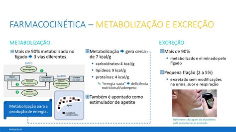 Drogas Depressoras Do Snc Parte 2 Bioloja