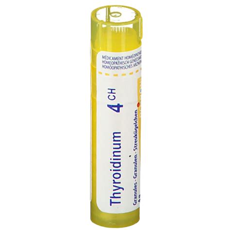 Thyroidinum Red Leaf Apothecary