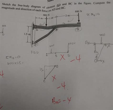 Solved Nano Sketch The Free Body Diagram Of Elem Magnitude Chegg