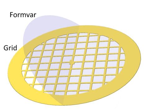Formvar Film On Gold Grids 100 Mesh 50 Box Labtech