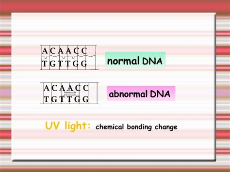 Describe Gene Alteration