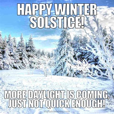 Winter Memes To Warm Your Frosty Heart
