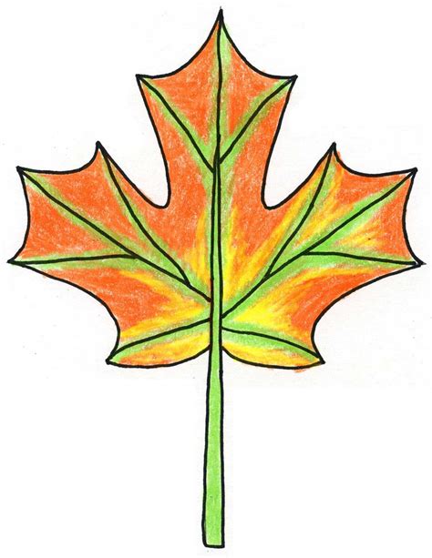 Image Result For Simple Maple Leaf Drawing Maple Tree