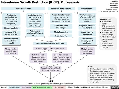 Intrauterine Growth Restriction Iugr Pathogenesis Calgary Guide