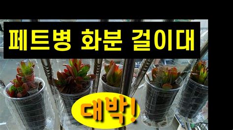 페트병 화분 페트병 화분 걸이대 다육이화분 페트병 경옥 Tv식물이야기 Youtube