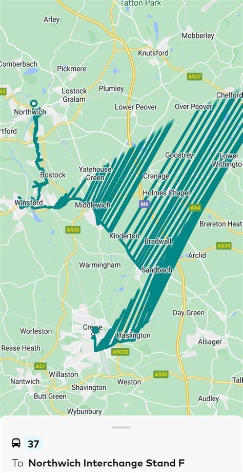 code chaos the funniest software glitches unveiled 47 pics