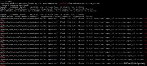 assertion `input val ＞ zero andand input val ＜ one` failed programmerah