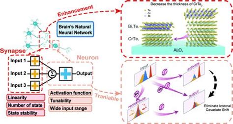 由基于拓扑绝缘体的自旋轨道扭矩器件实现的具有可训练激活函数的集成人工神经网络acs Nano X Mol