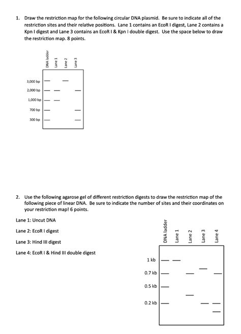 Solveddraw The Restriction Map For The Following Circular Dna Plasmid Be Sure To Indicate All