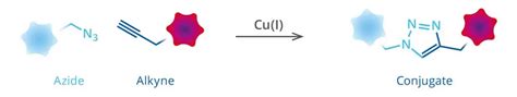 Click And Go® Click Chemistry Reaction Buffer Kit Vectorlabs